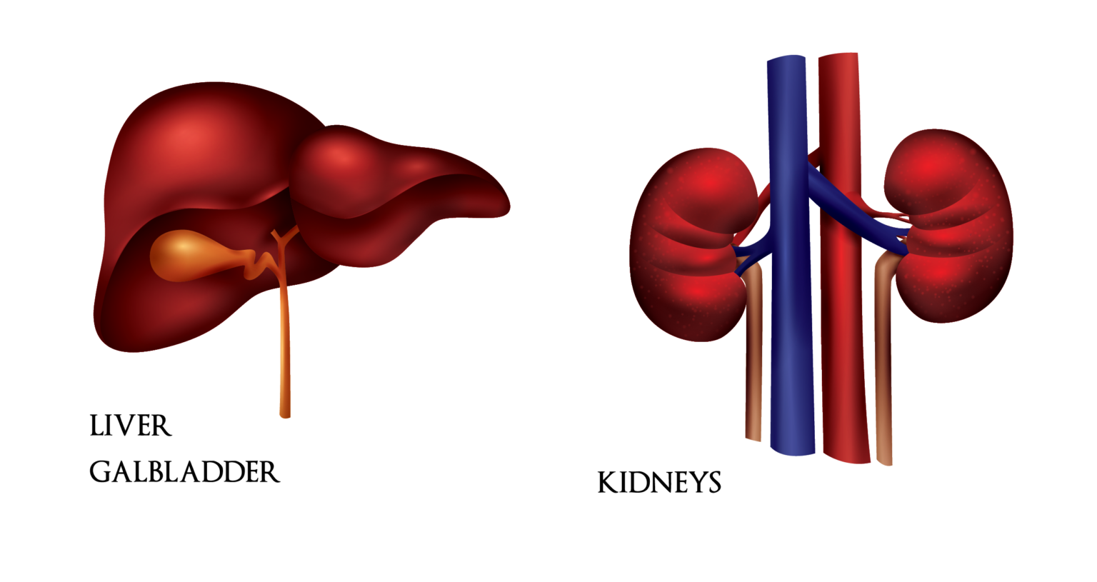 Quantum Parasite Cleanse – Kari Alajoki – Happivize